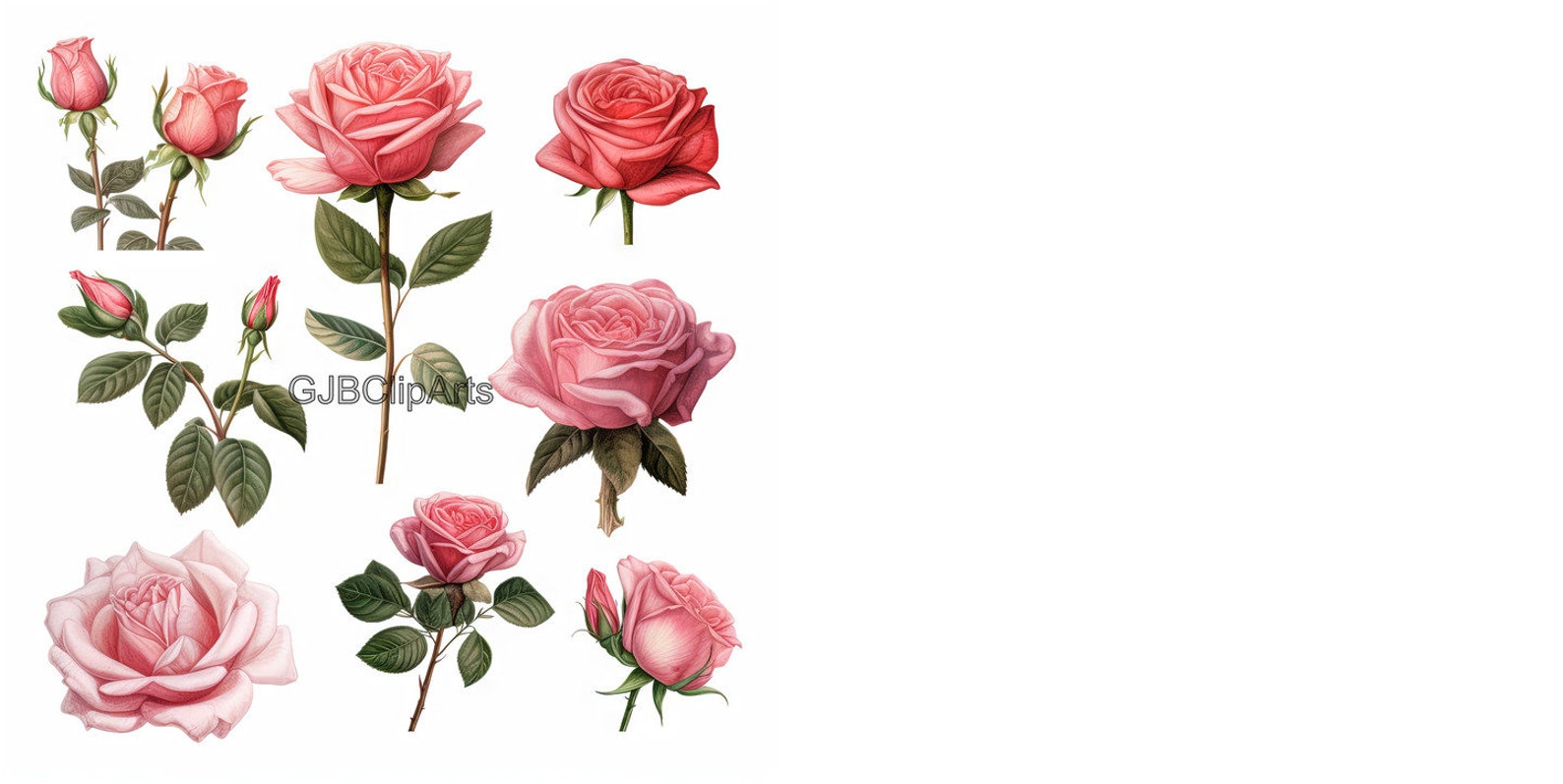 Pink Rose Flower Clipart, Scrapbook Template, Scrapbooking Kit ...