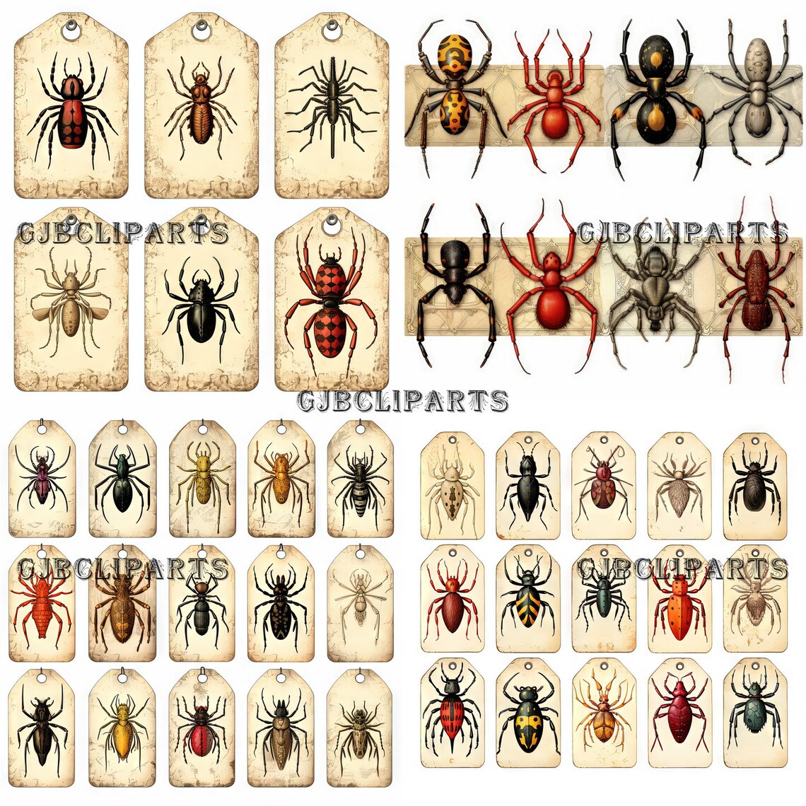 Spiders Ornamental Tag Clipart, Beautiful Vintage Tags With Antique ...