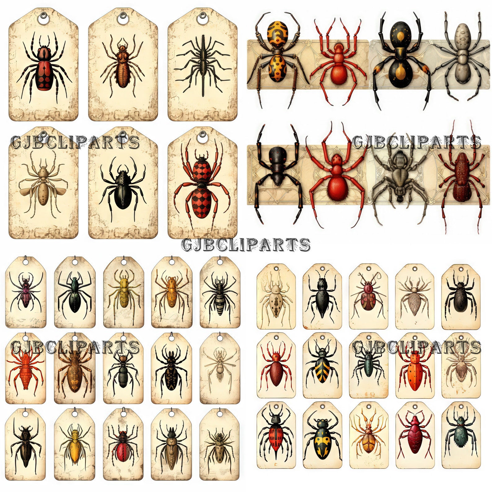Spiders Ornamental Tag Clipart, Beautiful Vintage Tags With Antique ...