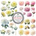 Buttercup Clipart Digital Stickers, Digital Clipart, Printable Stickers ...
