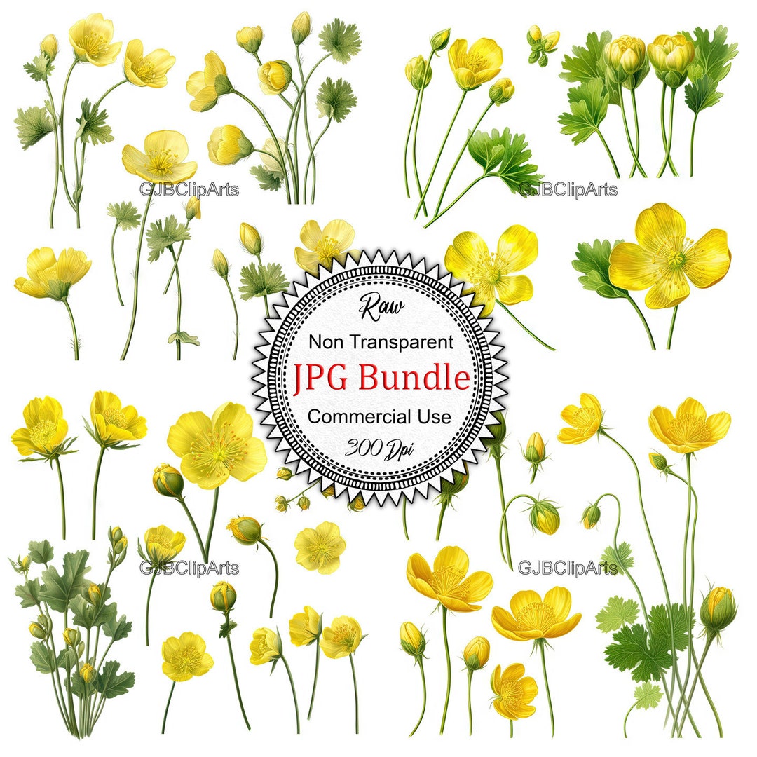 Buttercup Clipart Digital Stickers, Digital Clipart, Printable Stickers ...