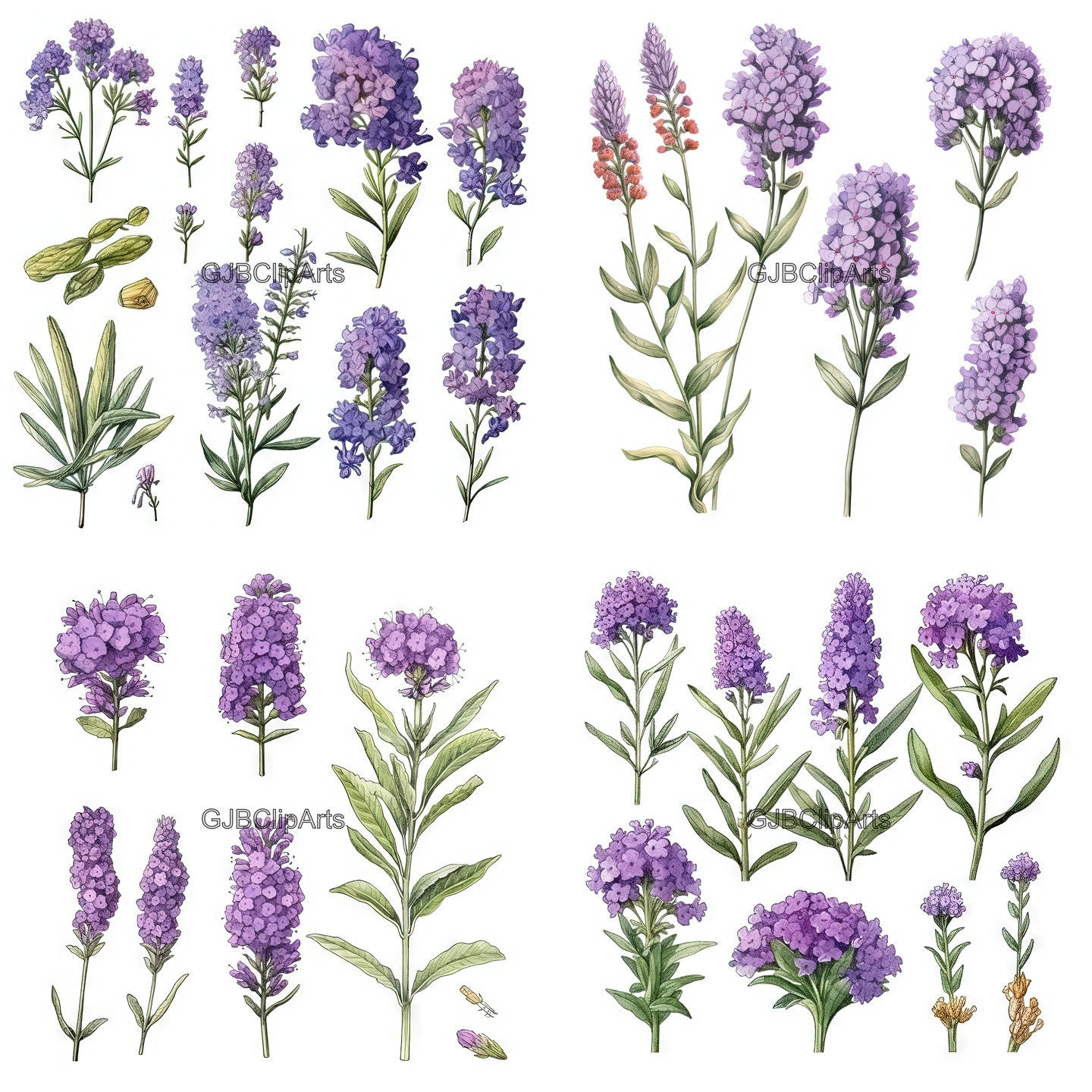 Statice Flower Clipart, Journaling Purple Flower, Junk Journal Ephemera ...
