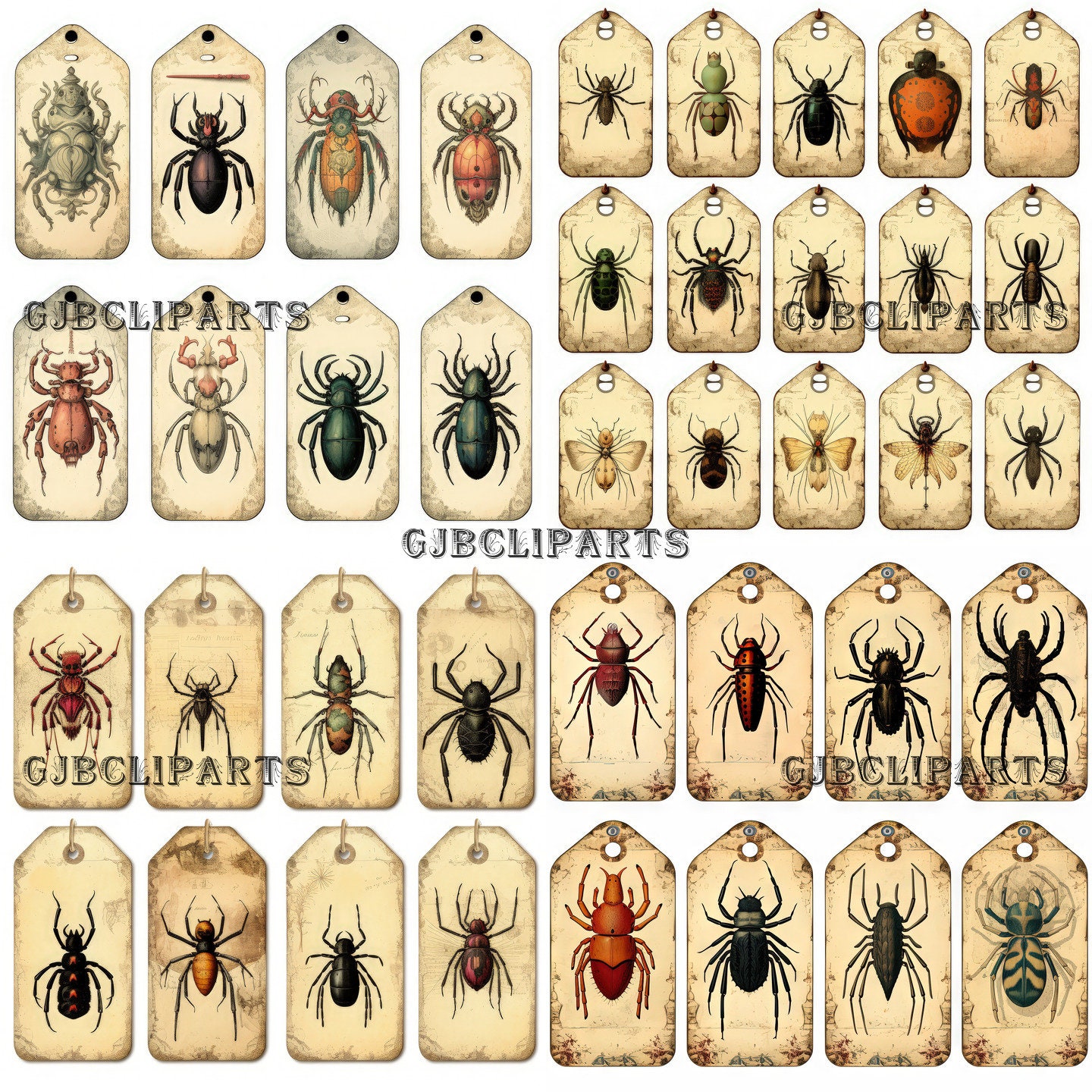 Spiders Ornamental Tag Clipart, Beautiful Vintage Tags With Antique ...