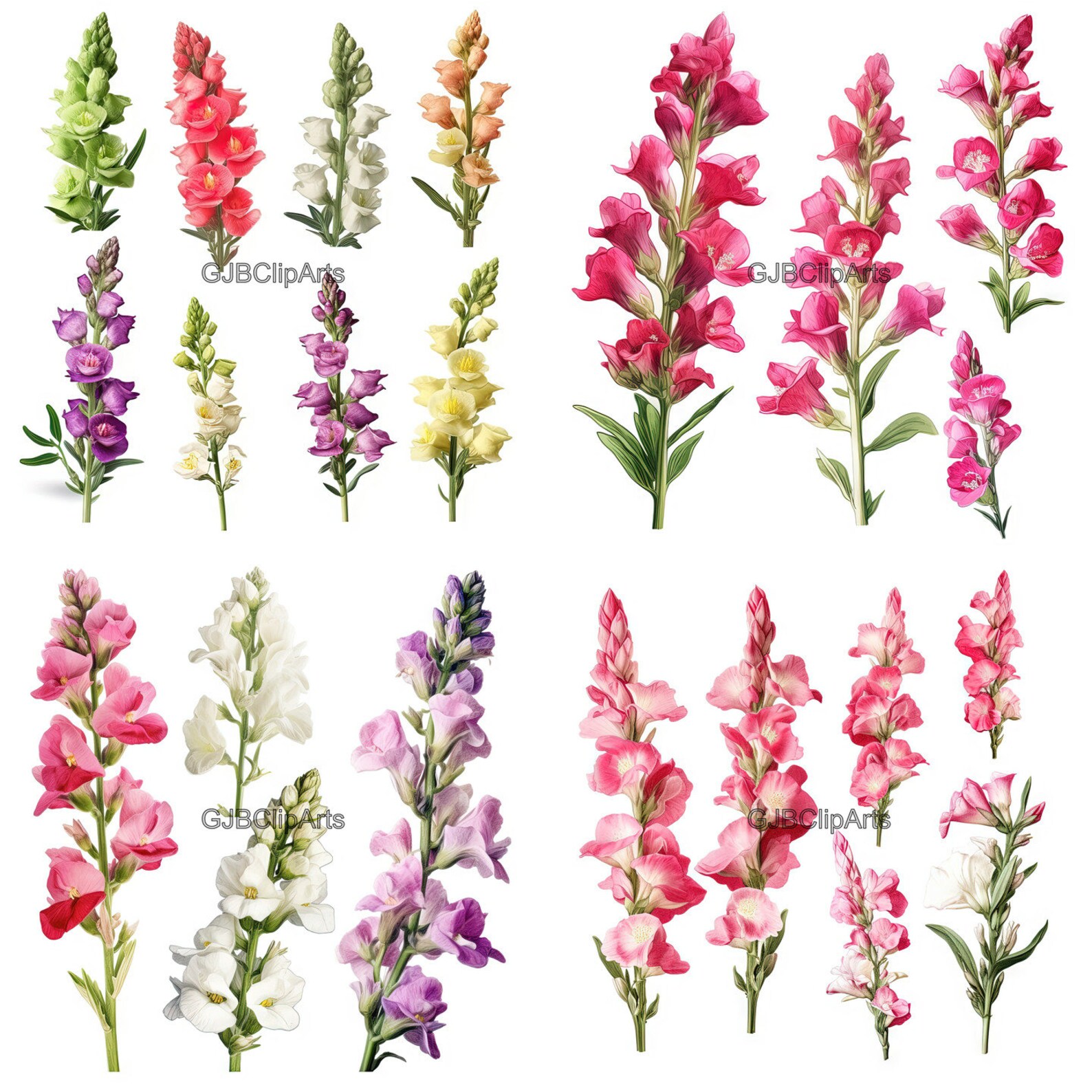 Snapdragon Flower Clipart, Journaling Printables, Scrapbookers Tote ...