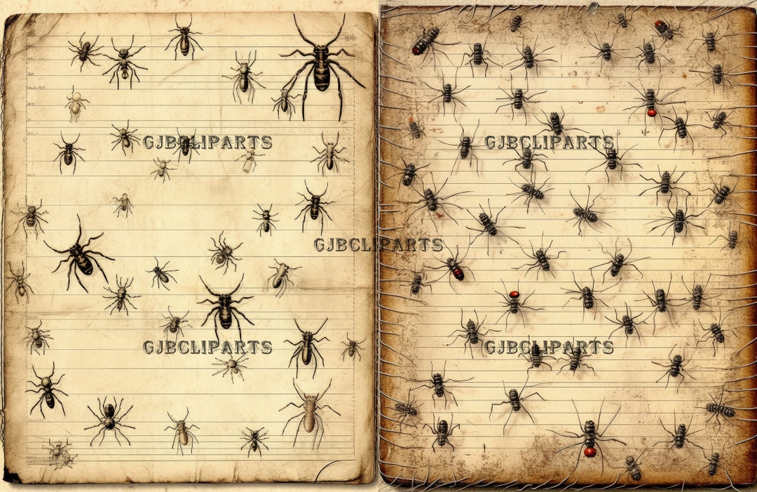Spiders Lined Page Clipart, Empty Journal Page With Border Clipart ...