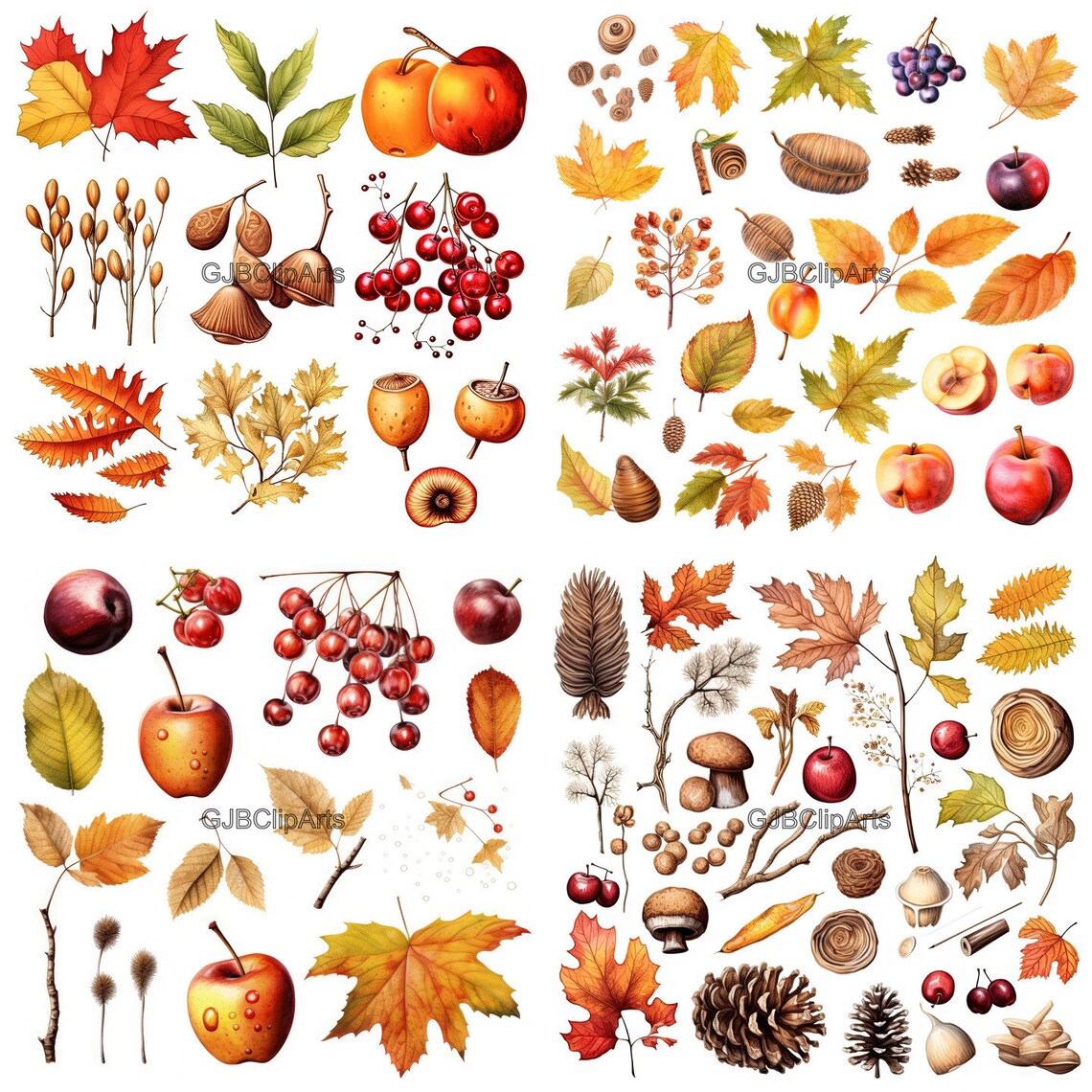 Autumnal Equinox Events Clipart, Harvest Clipart, Leaf Clipart ...