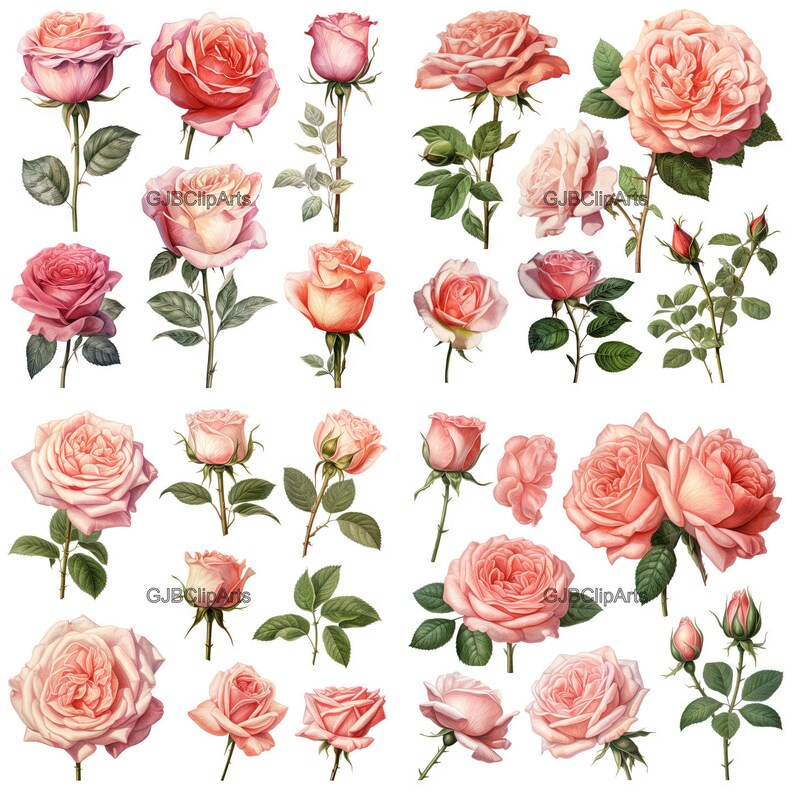 Pink Rose Flower Clipart, Scrapbook Template, Scrapbooking Kit ...