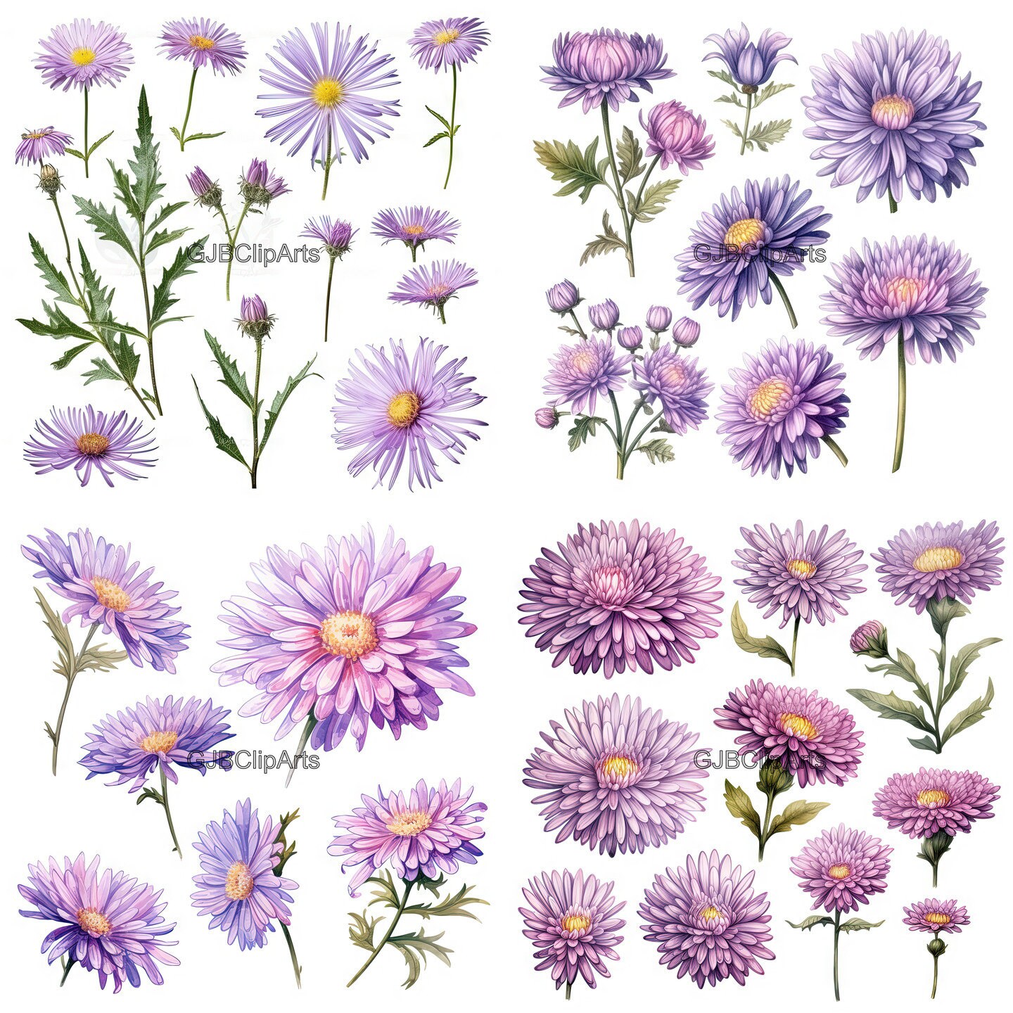 Aster Clipart Digital Stickers, Digital Clipart, Printable Stickers ...