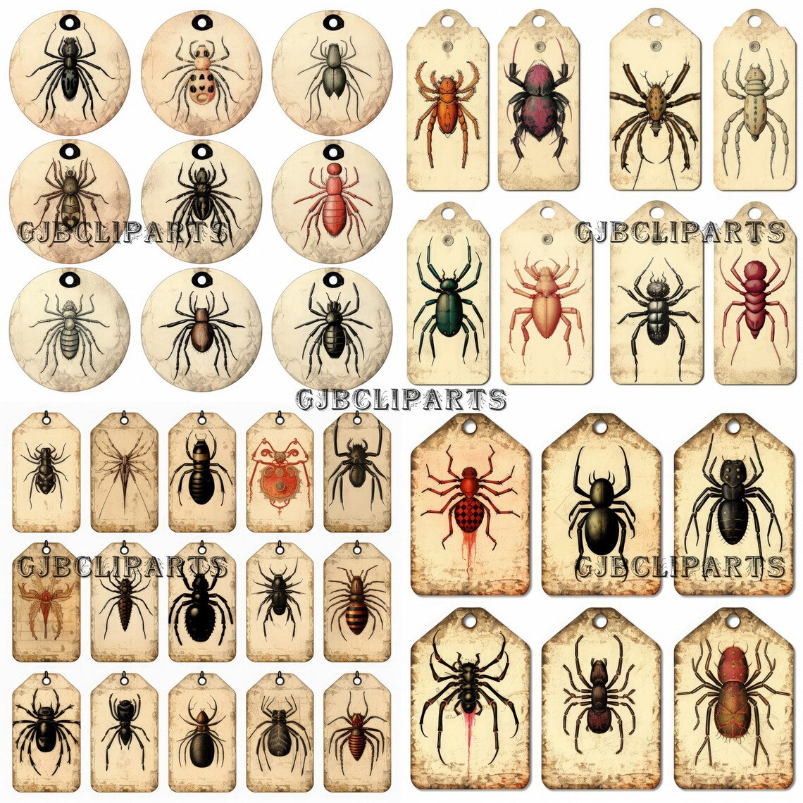 Spiders Ornamental Card Clipart Vintage Card Clipart - Etsy