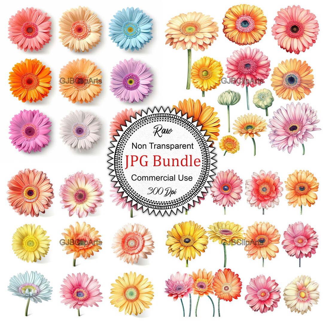 Gerbera Daisy Flower Clipart, Scrapbooking, Scrapbook Embellishments ...