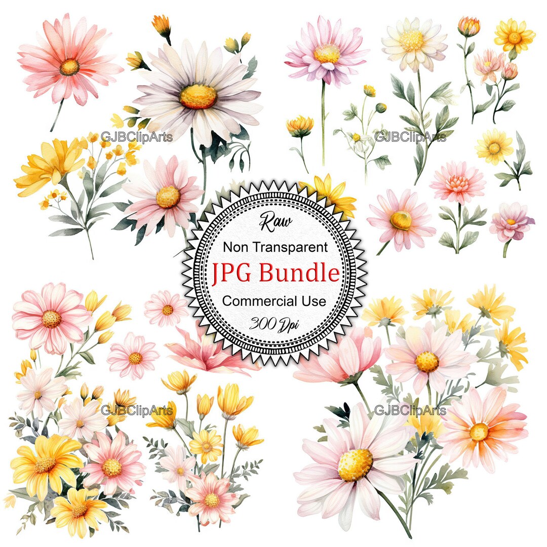 Watercolor Daisies and Pink Florals Clipart, Junk Journals With ...