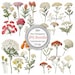 Cute Boho Collection: Watercolor Flowers, Leaves, Feathers Clipart ...