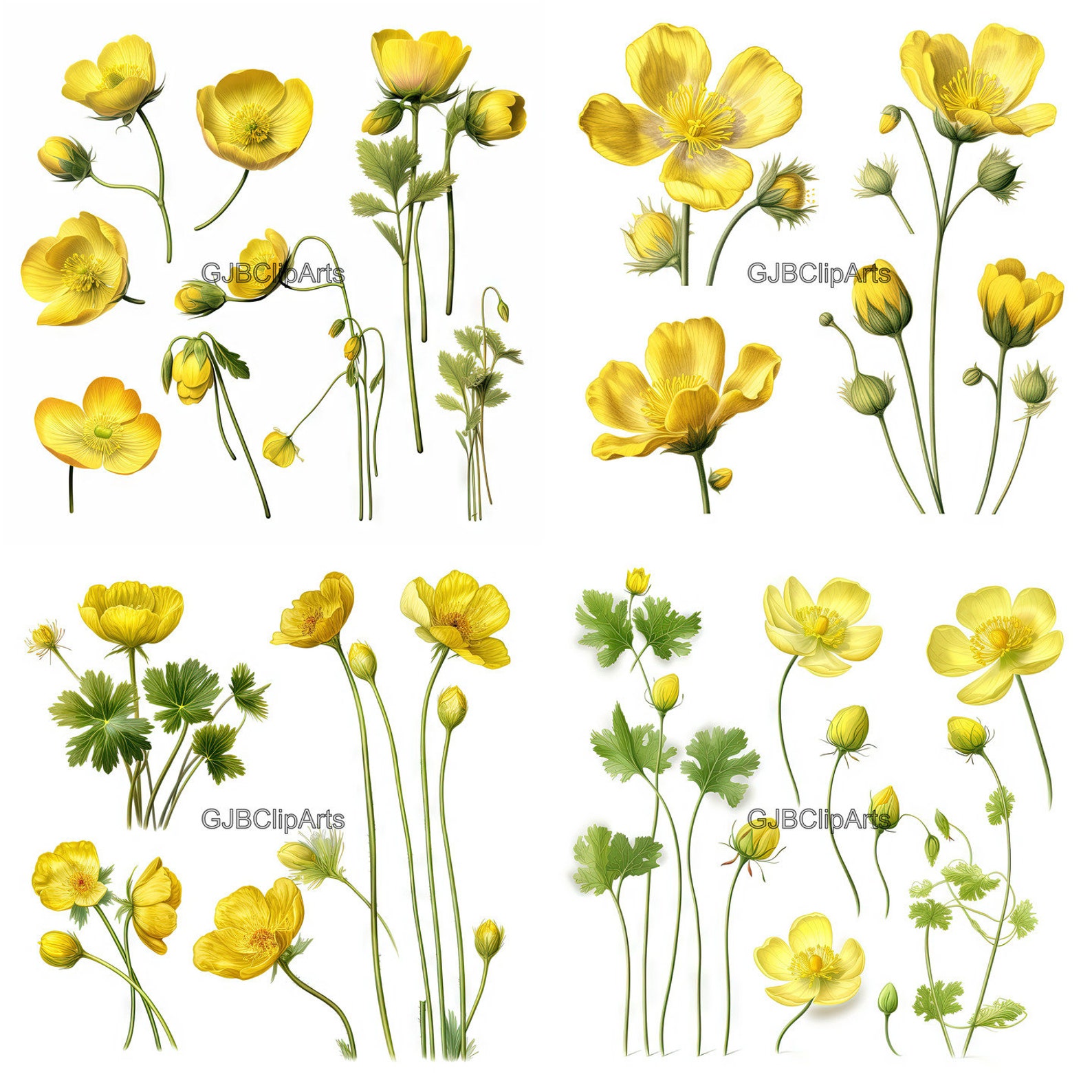 Buttercup Clipart Digital Stickers, Digital Clipart, Printable Stickers ...
