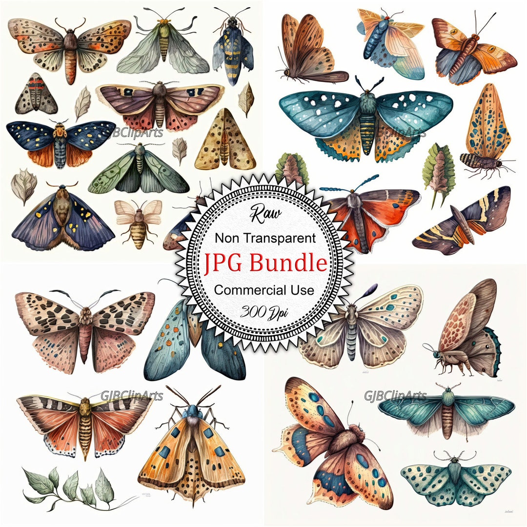 Watercolor Moths Collection: Delicate Insect Illustrations, Nature ...