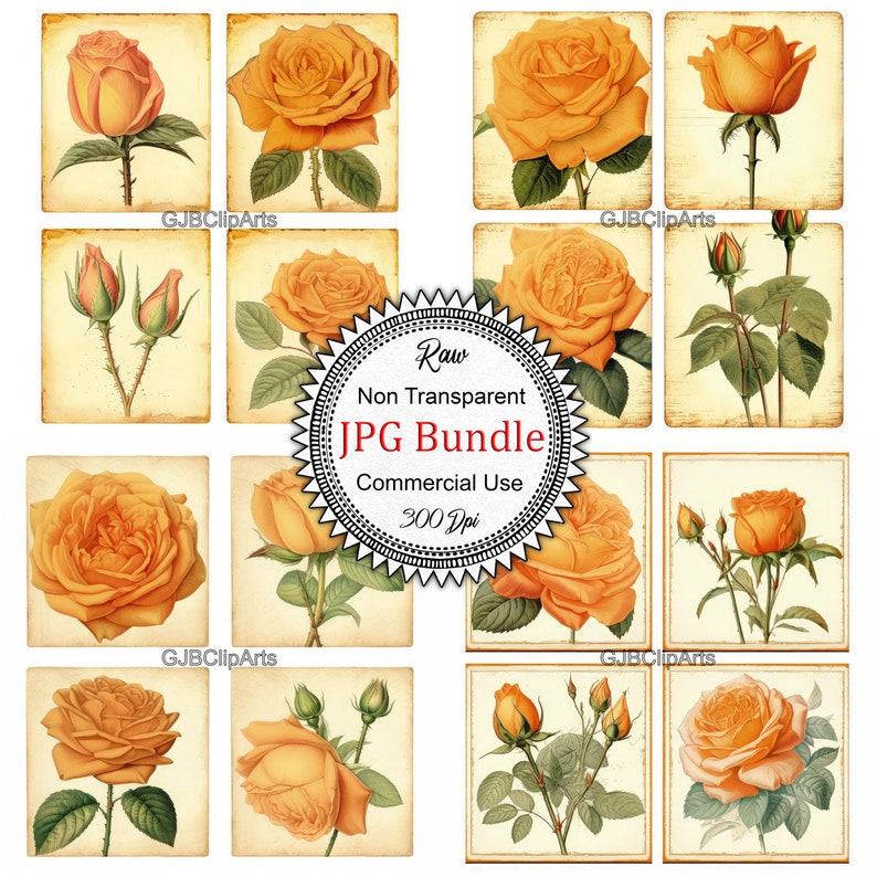 Orange Rose Vintage Card Clipart, Junk Journals Printable, Journaling ...