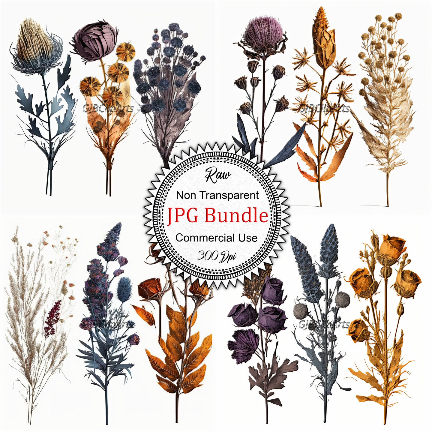 Three Pieces Decorative Dried Flowers Watercolor Collection ...