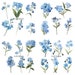 Forget-me-not Clipart Digital Stickers, Digital Clipart, Printable ...