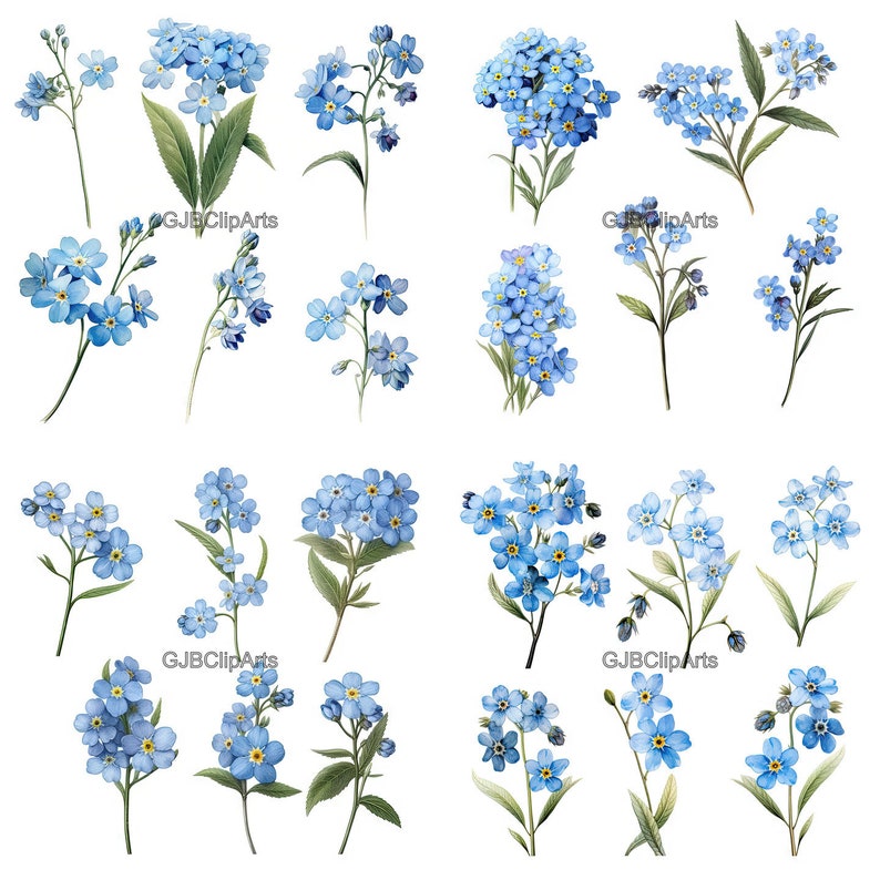 Forget-me-not Clipart Digital Stickers, Digital Clipart, Printable ...