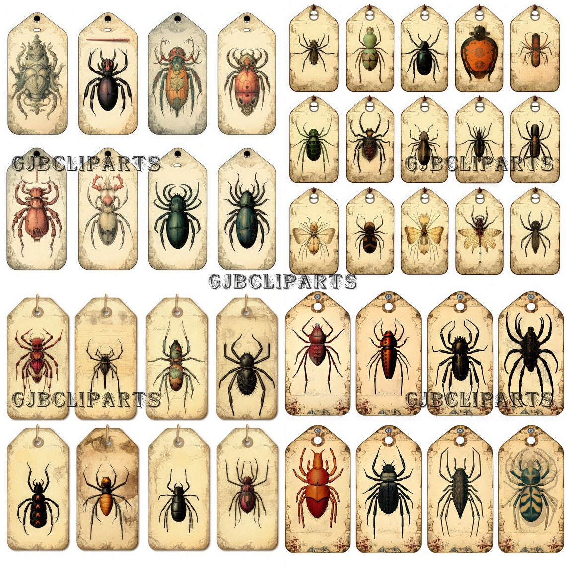 Spiders Ornamental Card Clipart, Vintage Card Clipart, Journaling Bible ...