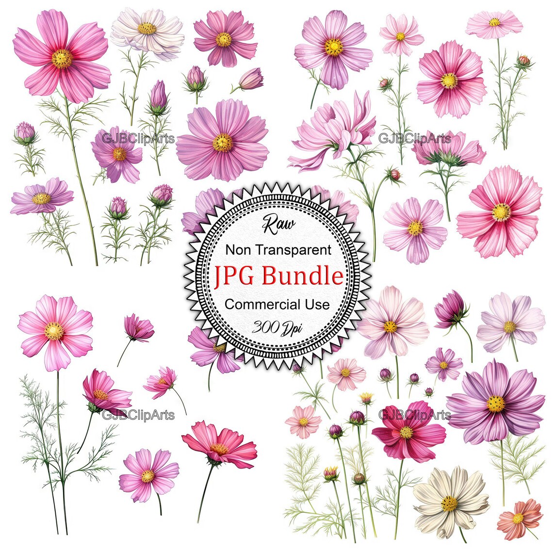 Cosmos Clipart Collection Hypnotic White Background Clipart - Etsy