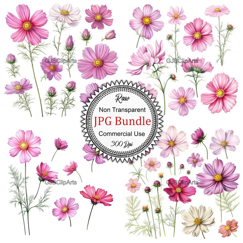 Cosmos Clipart Collection Hypnotic White Background Clipart - Etsy