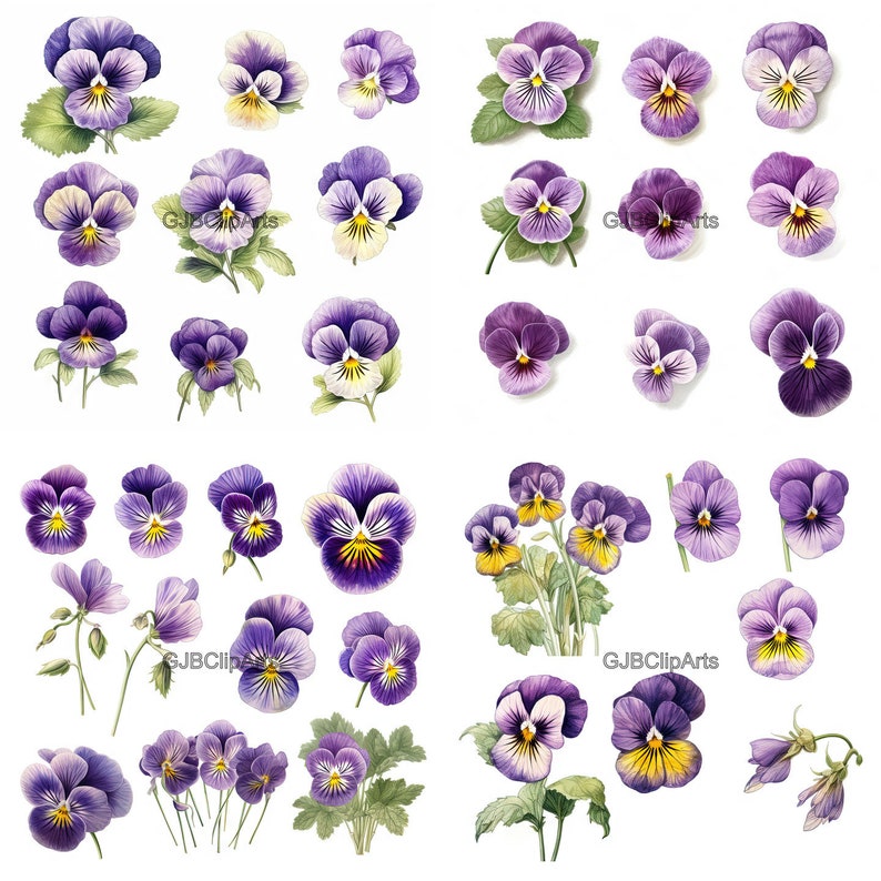 Viola Flower Clipart, Journaling Tracker, Scrapbooks Wedding ...
