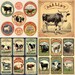 Vintage Cow Labels Clipart, Classic Digitized Art ,digital Clipart ...
