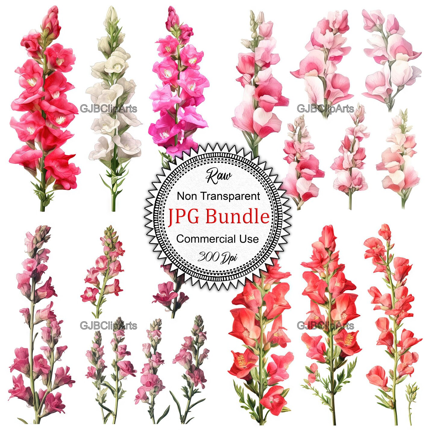 Snapdragon Flower Clipart, Journaling Printables, Scrapbookers Tote ...