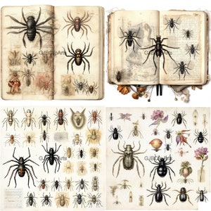 Vintage Spiders Junk Journal Kit Clipart, Spider Clipart Spider Web ...