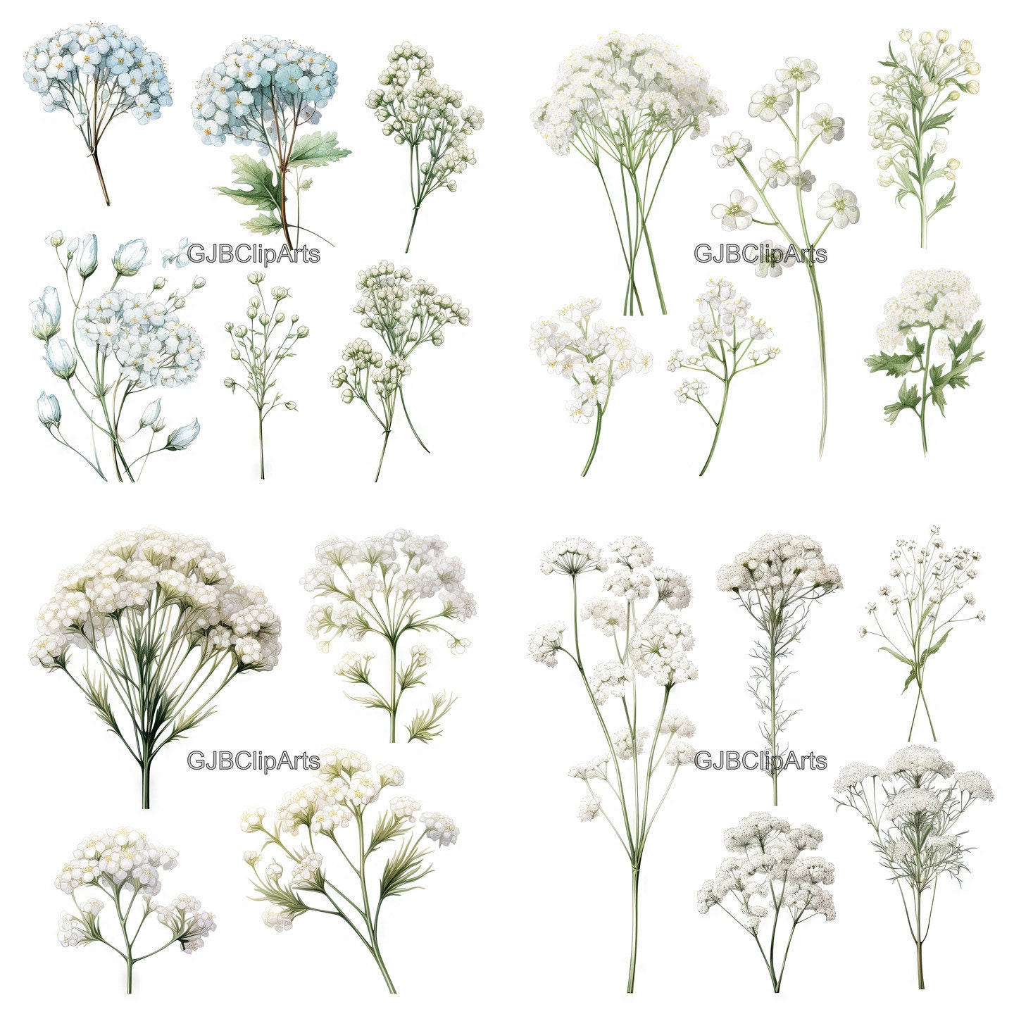 Baby's Breath Clipart Digital Stickers, Digital Clipart, Printable ...