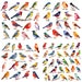 Bird Clipart Digital Stickers, Digital Clipart, Printable Stickers ...