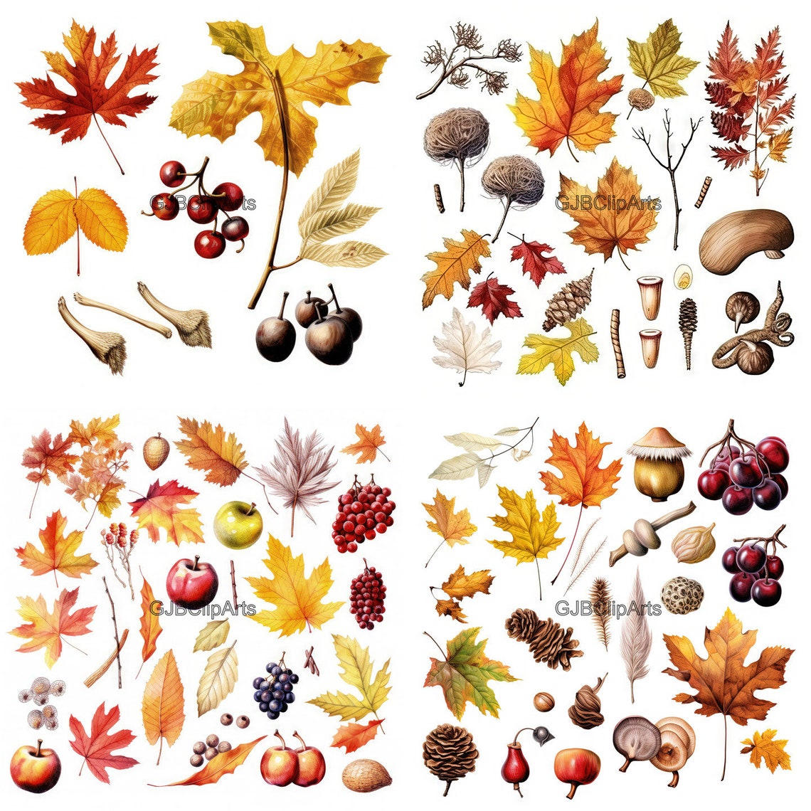Autumnal Equinox Events Clipart, Harvest Clipart, Leaf Clipart ...