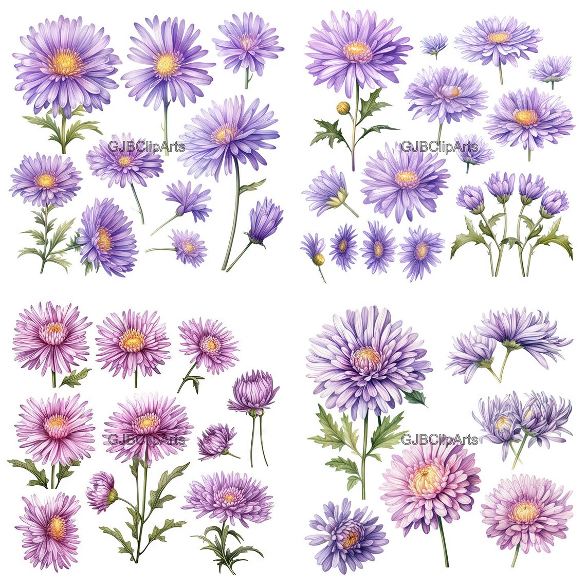 Aster Clipart Digital Stickers, Digital Clipart, Printable Stickers ...