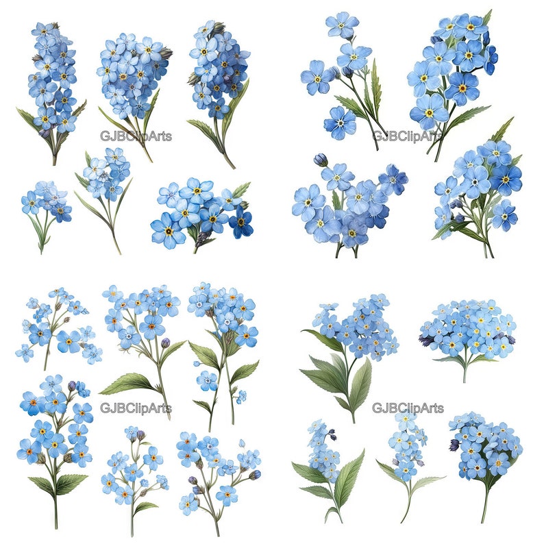 Forget-me-not Clipart Digital Stickers, Digital Clipart, Printable ...