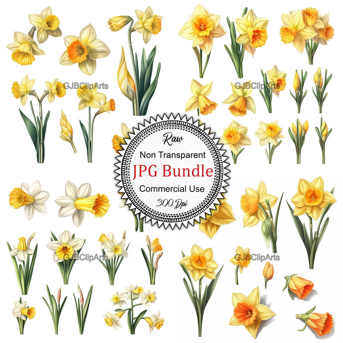 Daffodil Clipart Digital Stickers, Digital Clipart, Printable Stickers ...