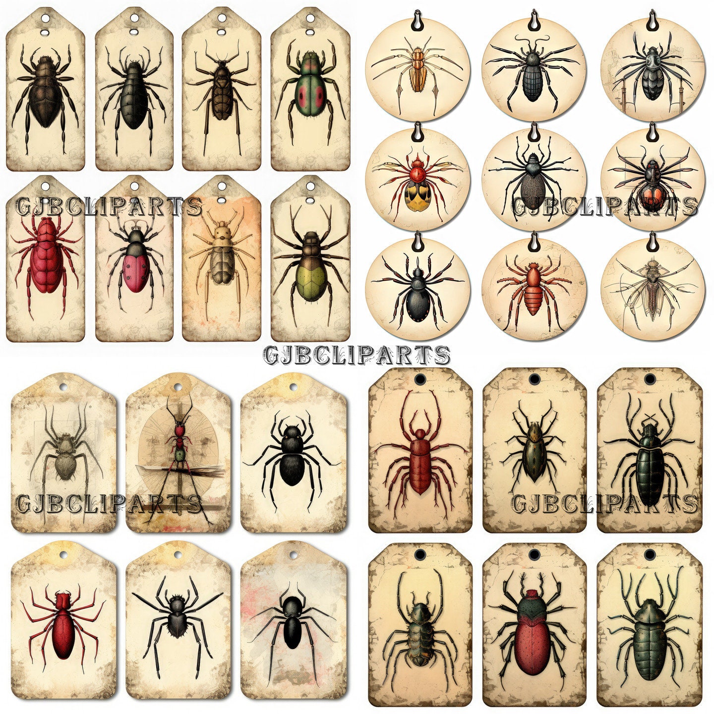 Spiders Ornamental Tag Clipart, Beautiful Vintage Tags With Antique ...