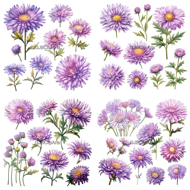 Aster Clipart Digital Stickers, Digital Clipart, Printable Stickers ...