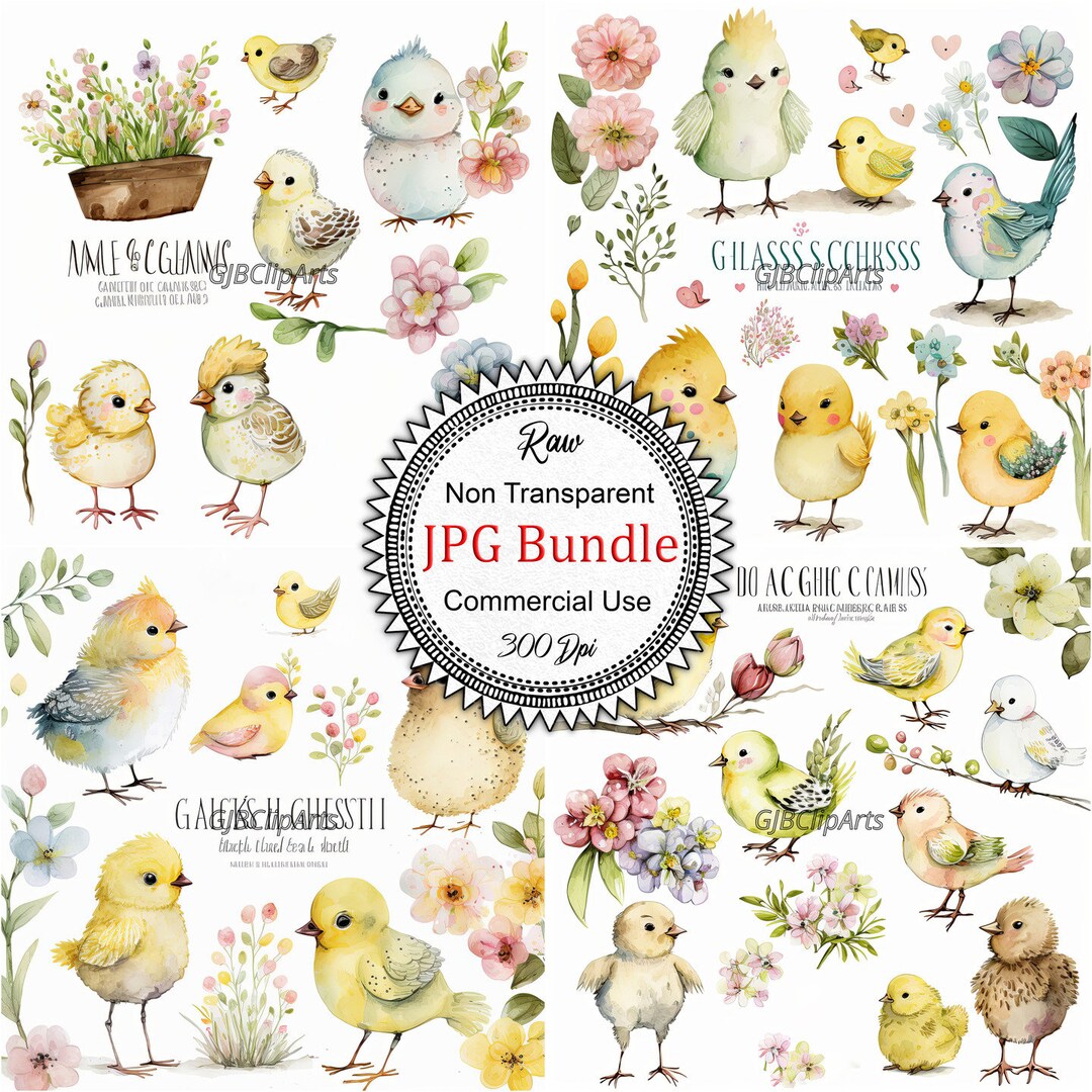 Spring Chicks Watercolor Collection:delightful Clip Art Designs for ...