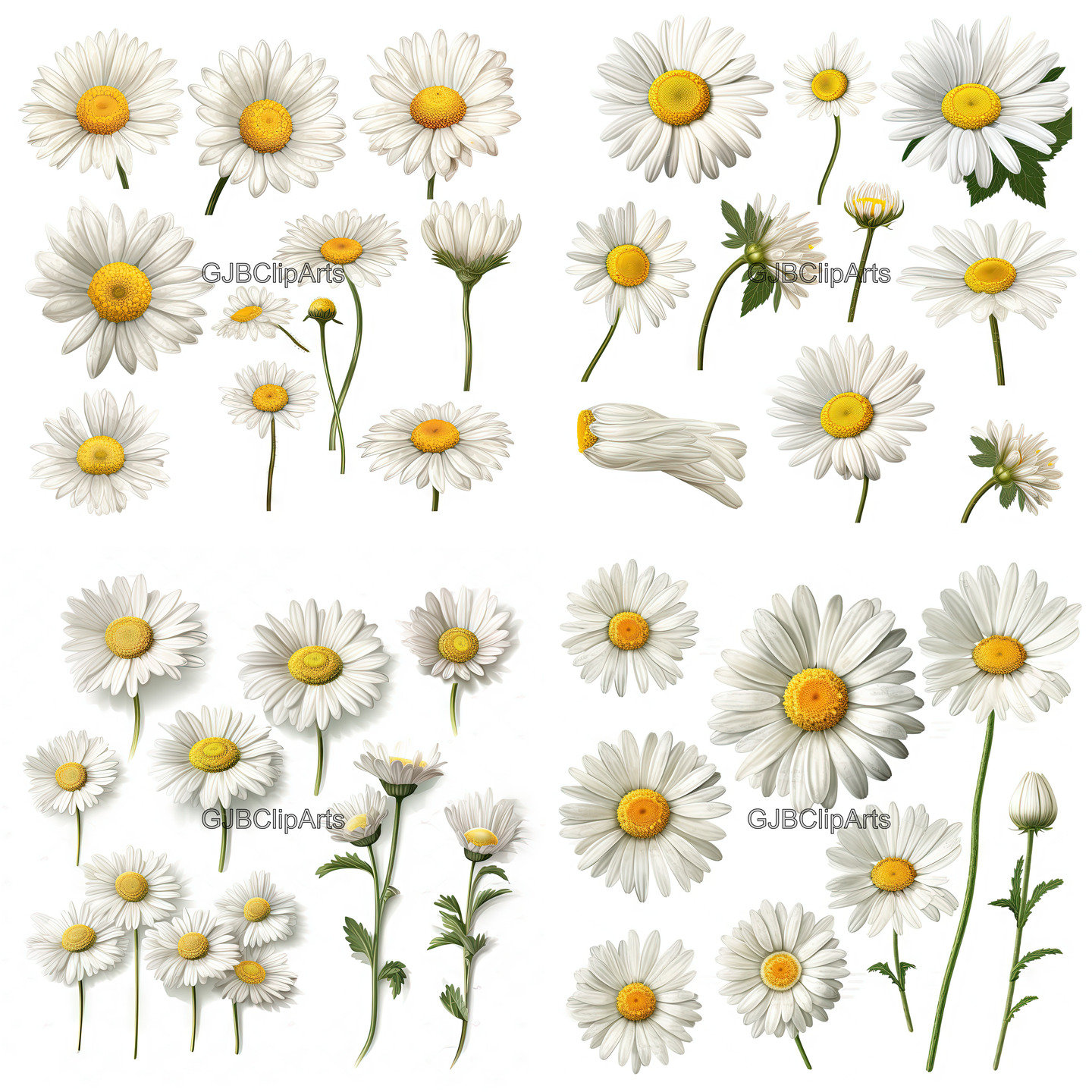 Daisy Collection Clipart, Journaling Embellishments, Journaling Kit ...