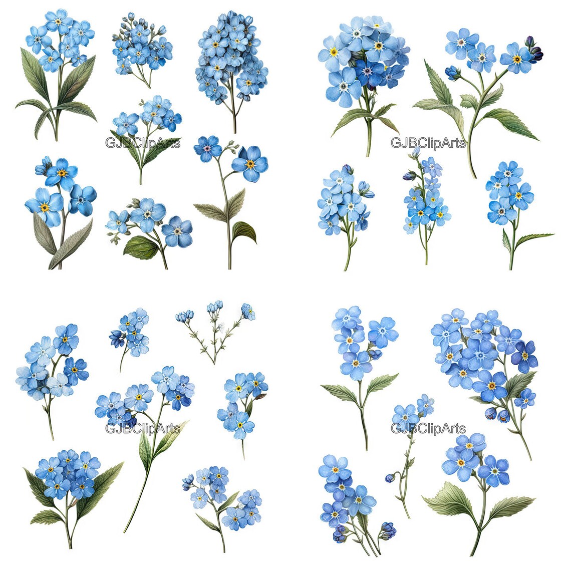 Forget-me-not Clipart Digital Stickers, Digital Clipart, Printable ...
