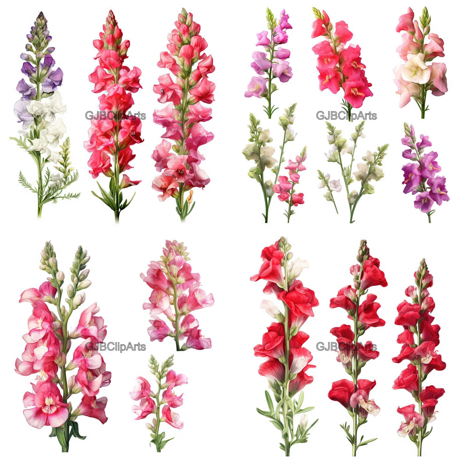 Snapdragon Flower Clipart, Journaling Printables, Scrapbookers Tote ...