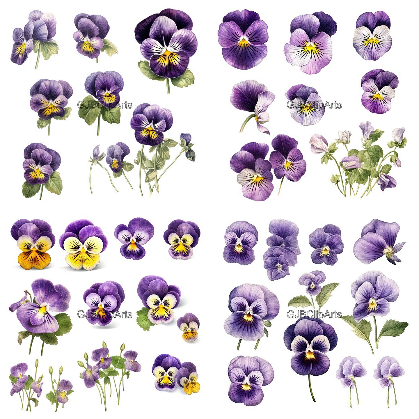 Viola Flower Clipart Journaling Tracker Scrapbooks Wedding - Etsy