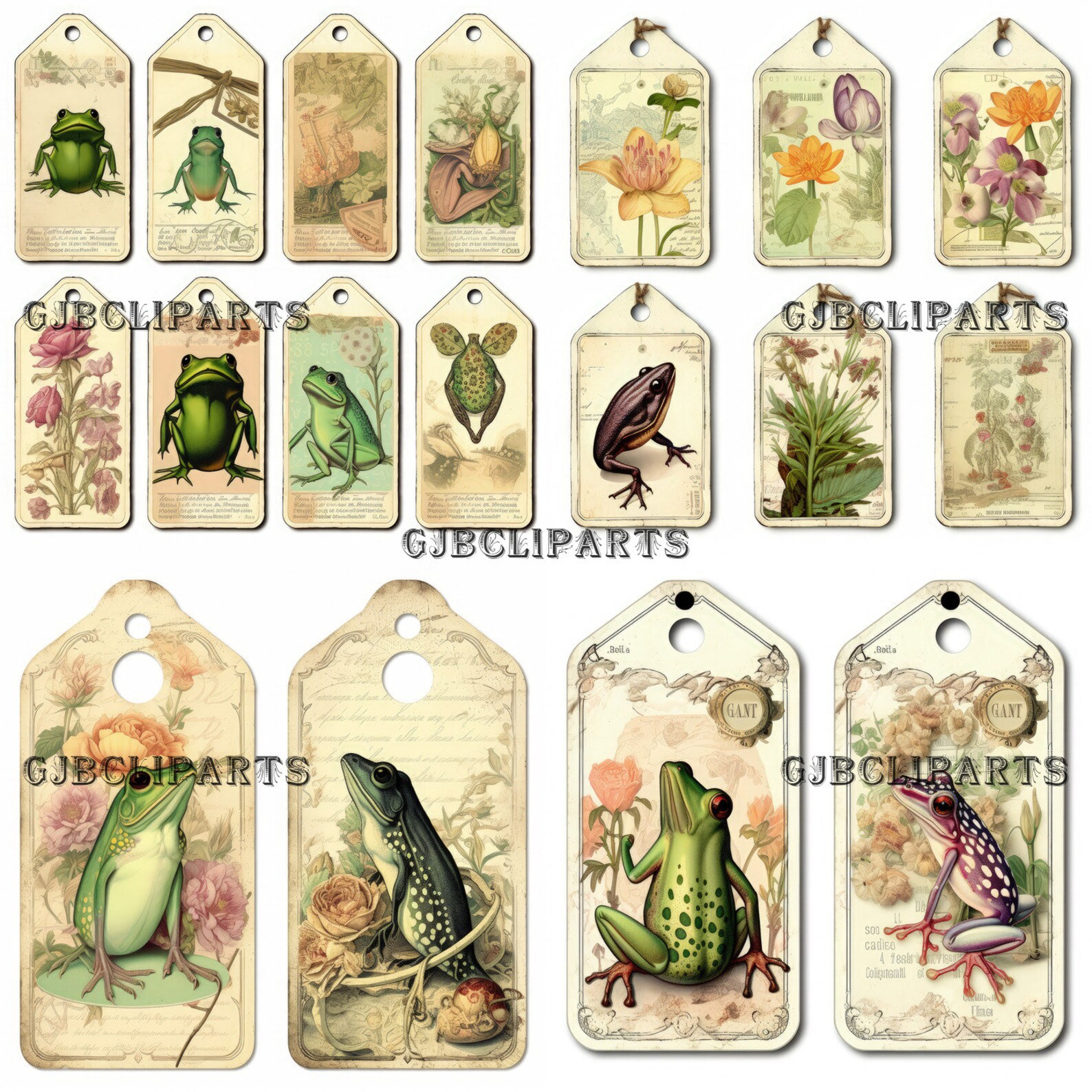 Frogs Ornamental Tag Clipart, Beautiful Vintage Tags With Antique ...