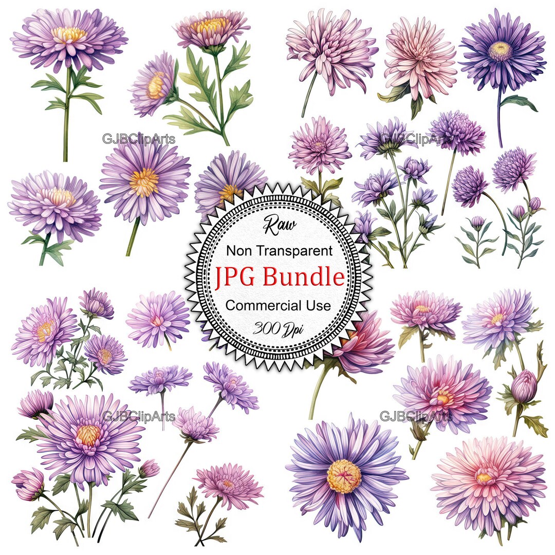 Aster Clipart Digital Stickers, Digital Clipart, Printable Stickers ...