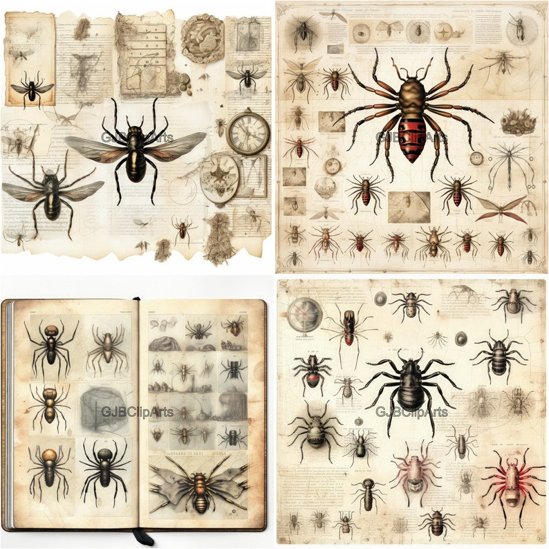 Vintage Spiders Junk Journal Kit Clipart, Spider Clipart Spider Web ...