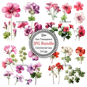 Geranium Flower Clipart, Scrapbooks Digital, Journaling Game ...