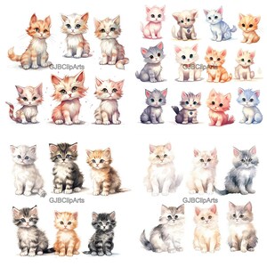 Kitten Clipart, Printable Kitten , Digital Stickers, Digital Clipart ...