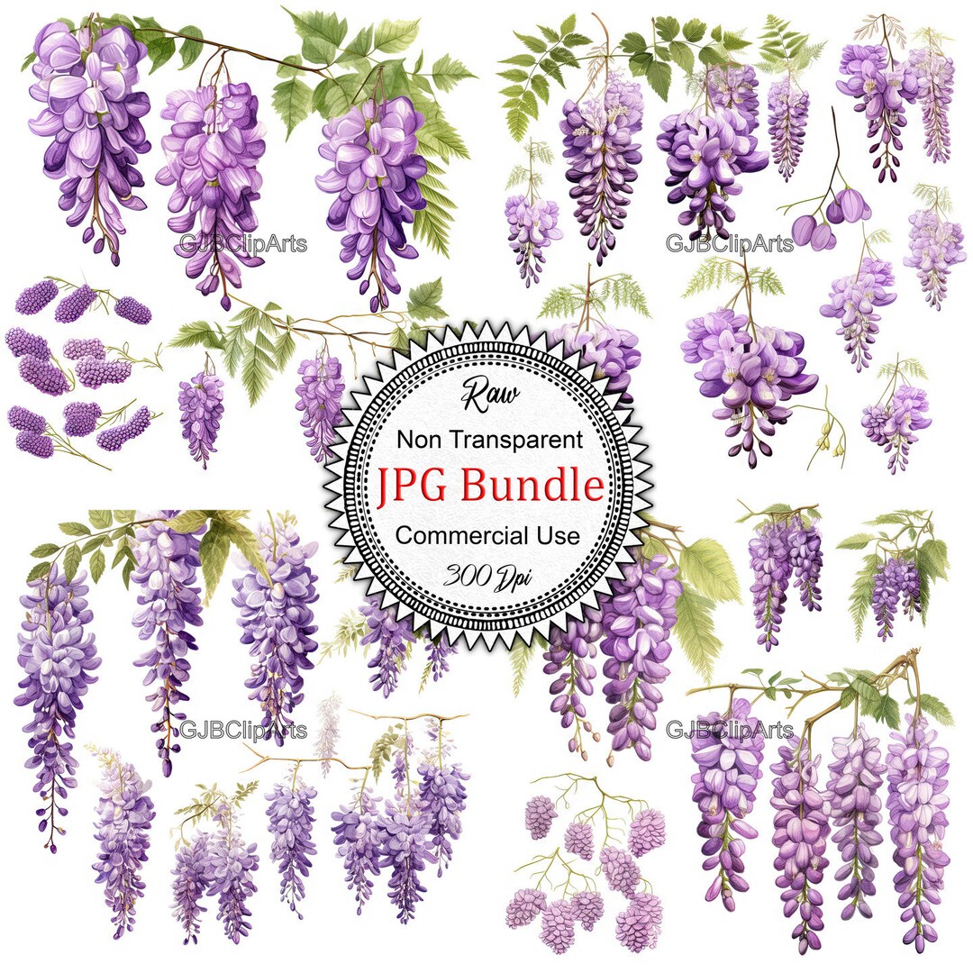 Wisteria Flower Clipart, Journaling Home, Journaling Stamps ...