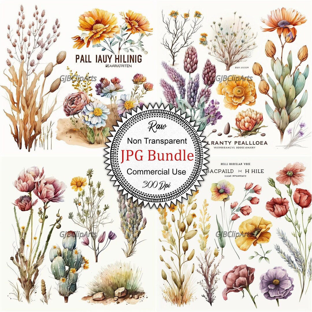 Delicate Ranch Flowers Clipart: Watercolor Floral Illustrations, 300 ...