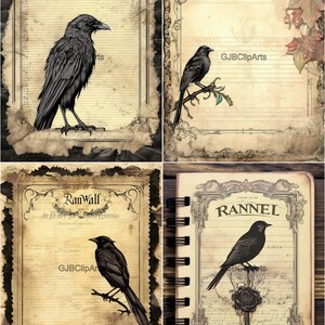 Raven Lined Page Clipart Raven Silhouette Clipart Feather Clipart ...